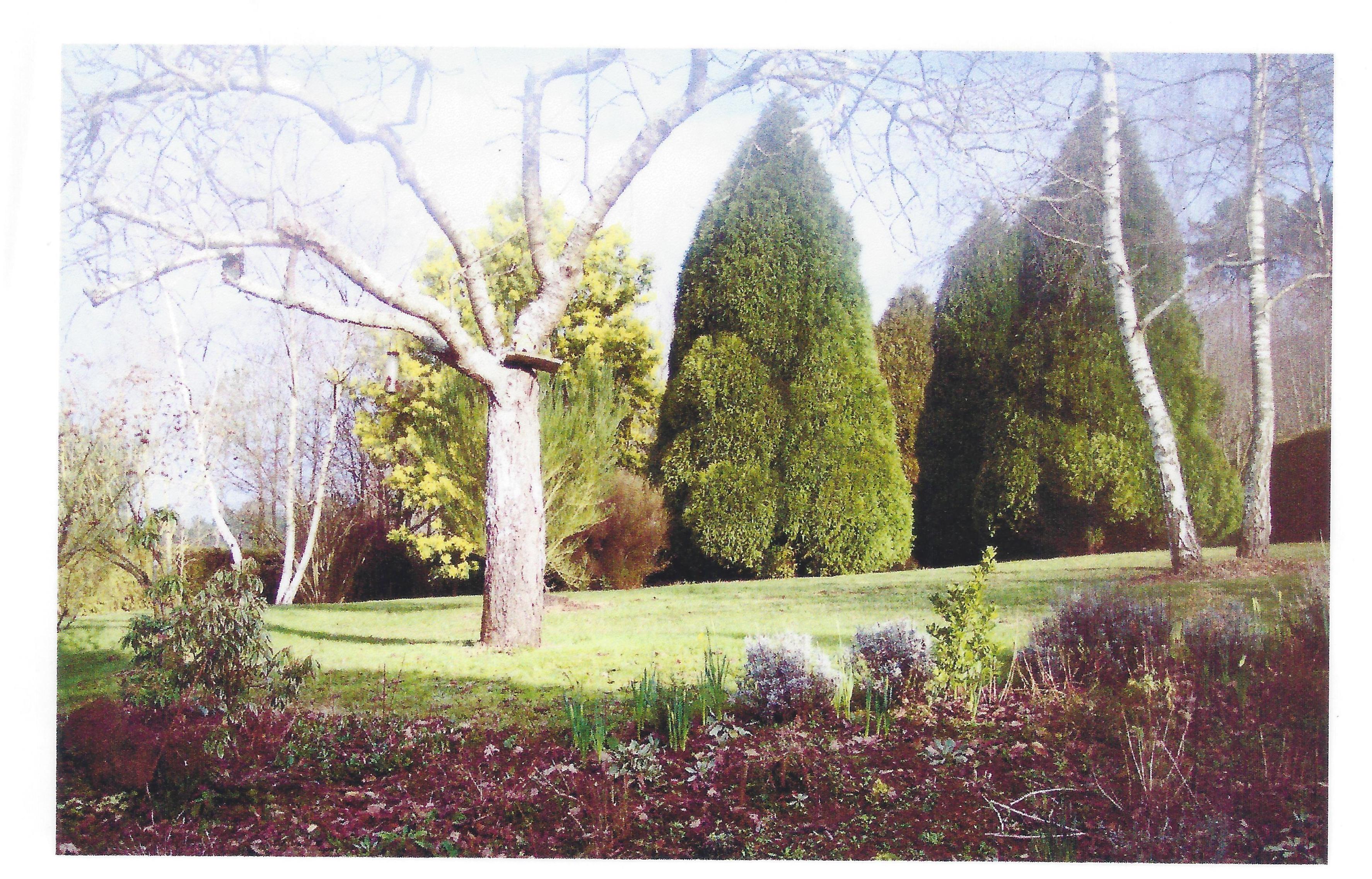 Sandy Snitch – Whittlesey Wordsmiths